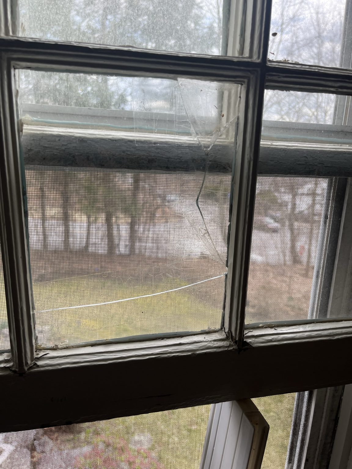 Preserving Historic Windows: Is It Possible, and Why Should We Care ...